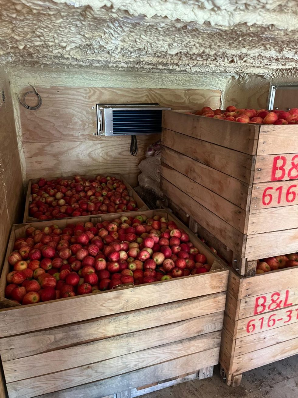 Apple Season at Steve's Farm - Steve's Farm